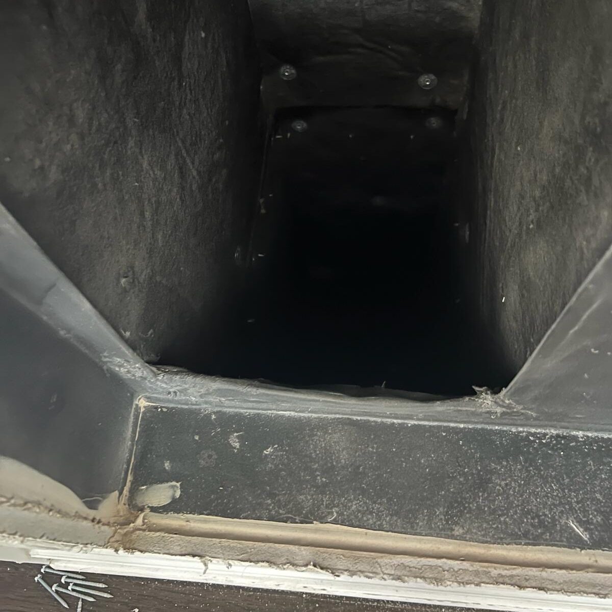 ecoductservice.com